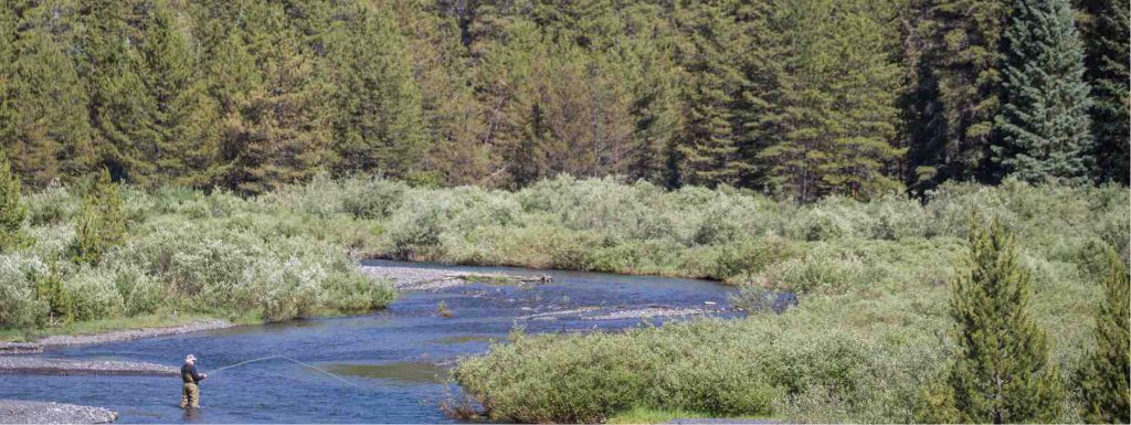 Outdoor Accessories - Implus