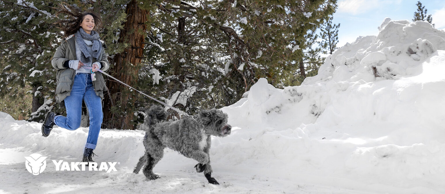 About Implus - Implus